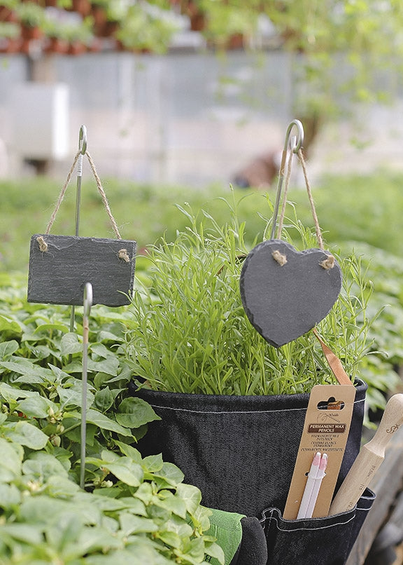 Slate Plant Label L 12x11cm Heart Shape – Squirrel Tree NZ